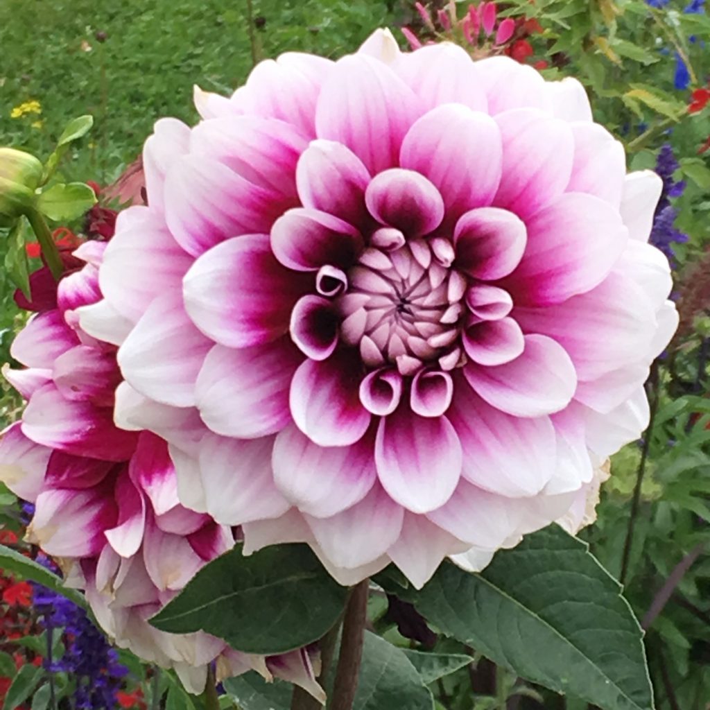 About, Jennifer Fuller James, LCSW, Mountain View Counseling, LLC ...